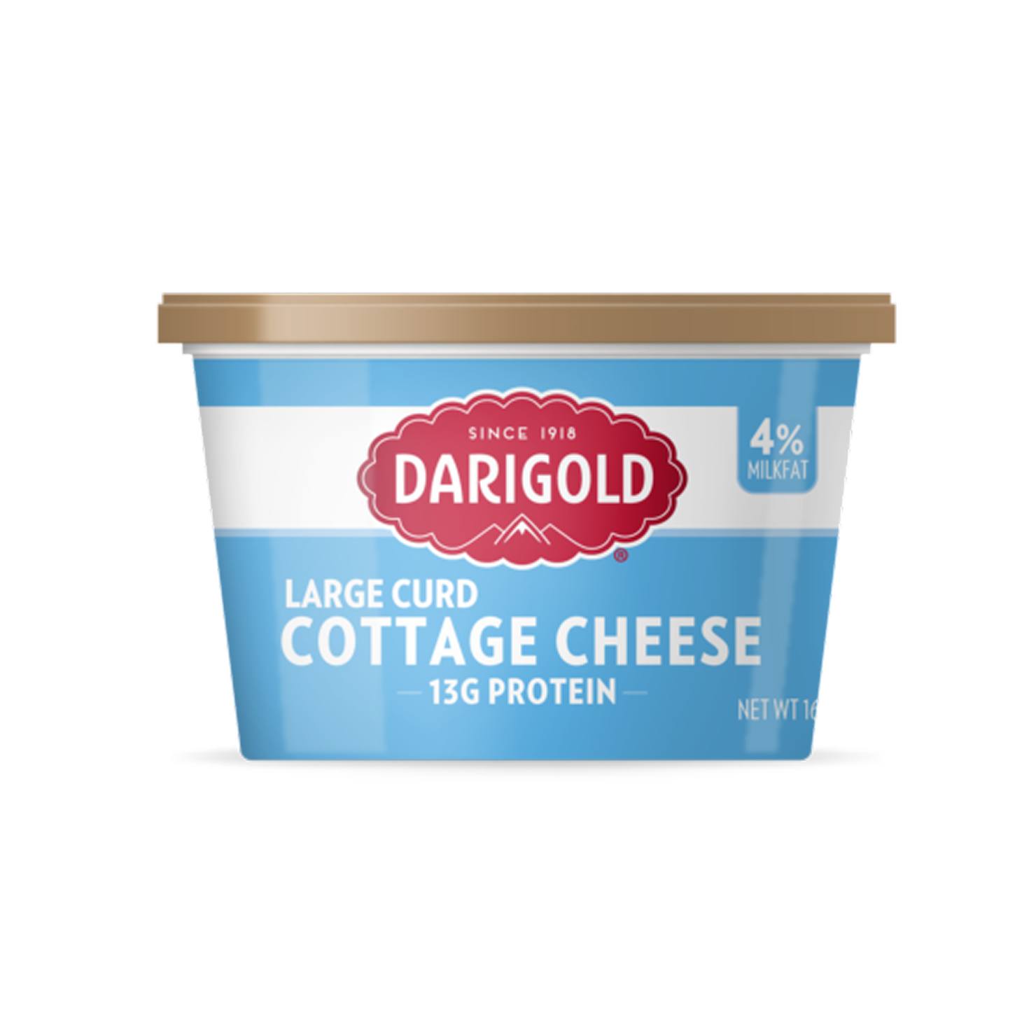 Large Curd Cottage Cheese | Darigold